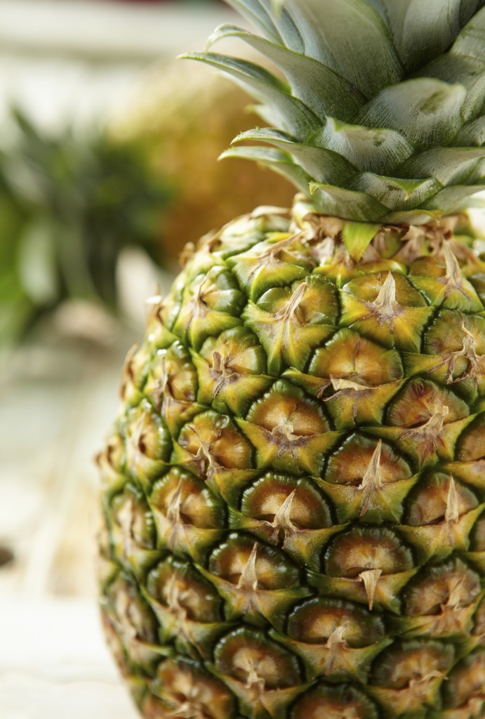 About Healix Enterprises Inc | Healix the Pineapple King